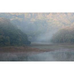 Vlies Fototapete mit Wald in Nebel | 3D Bildtapete mit Fluss in Indien | Natur Tapete mit Landschaft für Wohnzimmer und Flur - 267 x 400 cm (4 Teile)