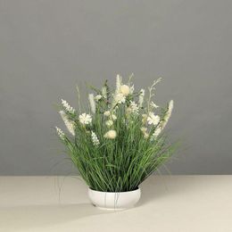 DPI künstliche Wiesenblumen in Kunststoffschale creme 50 cm Kunstpflanzen