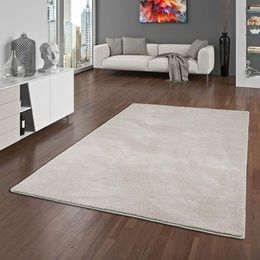 Snapstyle - Hochflor Luxus Velours Teppich Touch Champagner - 200x300 cm