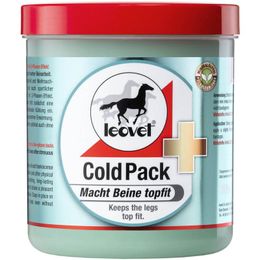 Cold Pack 1000 ml Pferde Salbe Kühlgehl kühlt und wärmt - Leovet