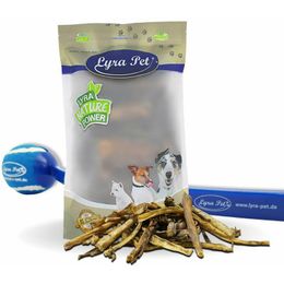 5 kg LYRA PET Ochsenziemer Abschnitte 5 - 8 cm + Ballschleuder