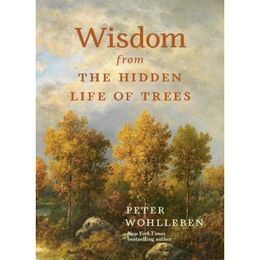 Wisdom From The Hidden Life of Trees - Peter Wohlleben, Gebunden