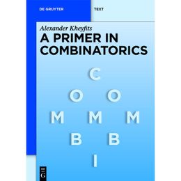 De Gruyter A Primer in Combinatorics - Alexander Kheyfits, Gebunden