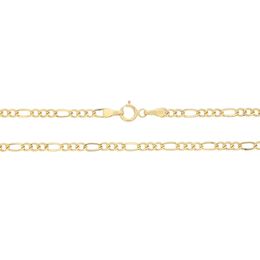 Gliederkette Vivance "Figarokette" Halsketten Gr. Gelbgold 375, gelb (gelbgold 375) Damen