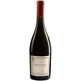 Fradé 2021 Pinot Nero Provinca di Pavia IGP trocken