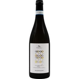 Cantina Riboli 2023 Mappale Novantanove Piemonte Sauvignon DOC trocken