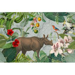 Livingwalls LIVING WALLS Fototapete "ARTist Jungle Rhino" Tapeten Gr. B/L: 4 m x 2,7 m, bunt (braun, grün, orange) Fototapeten Blumen