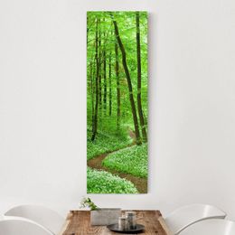 MICASIA Leinwandbild - Romantischer Waldweg - Panorama Hoch Größe HxB: 90cm x 30cm