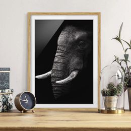 MICASIA Bild mit Rahmen - Dunkles Elefanten Portrait Größe HxB: 24cm x 18cm, Rahmen: Eiche