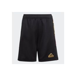 adidas Sportswear Shorts J HOT SU SHORT (1-tlg), schwarz