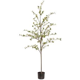 Kunstpflanze Creativ green "Viburnum" Kunstpflanzen Gr. H: 180 cm, 1 St., grün Künstliche Zimmerpflanzen