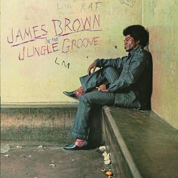 Polydor In The Jungle Groove - James Brown. (CD)