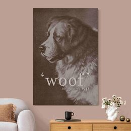 Akustikbild Anonymous Dog
