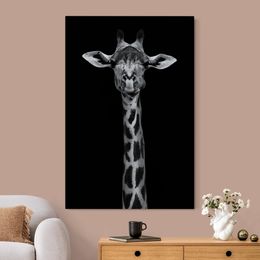 Akustikbild Dunkles Giraffen Portrait