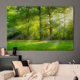 Akustikbild Spaziergang im Wald