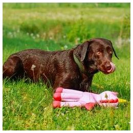 Nobby Wasserspielzeug für Hund Einhorn Floating 39,5 cm