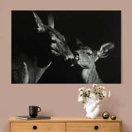 Akustikbild Rehe vor Schwarz
