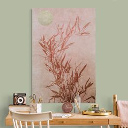 Akustikbild Goldene Sonne mit Rosa Bambus