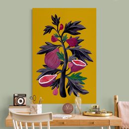 Akustikbild Feigenbaum