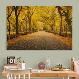 Akustikbild Herbst im Central Park
