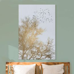 Akustikbild Vogelschwarm vor goldenem Baum