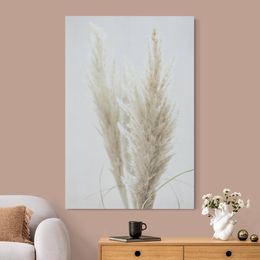 Akustikbild Flauschiges Pampasgras