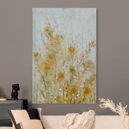 Akustikbild Gelbe Wilde Blumenwiese