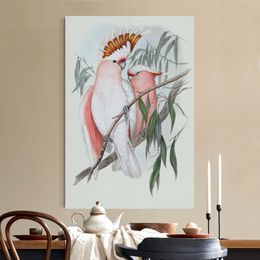 Akustikbild Pastell Papageien I