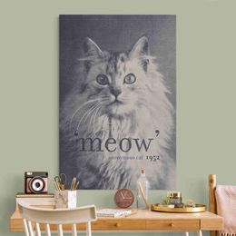 Akustikbild Anonymous Cat