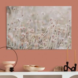 Akustikbild Strahlende Blumenwiese