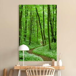 Akustikbild Romantischer Waldweg