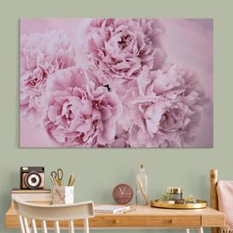 Akustikbild Rosa Pfingstrosen