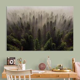 Akustikbild Nebel im sonnigen Wald