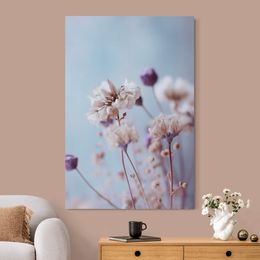 Akustikbild Trockenblumen Nahaufnahme