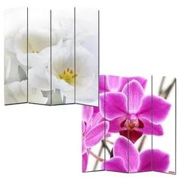 Mendler Foto-Paravent Paravent Raumteiler Trennwand M68 ~ 180x160cm, Orchidee
