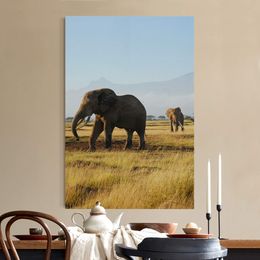 Akustikbild Elefanten vor dem Kilimanjaro in Kenya