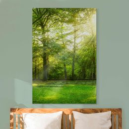 Akustikbild Spaziergang im Wald