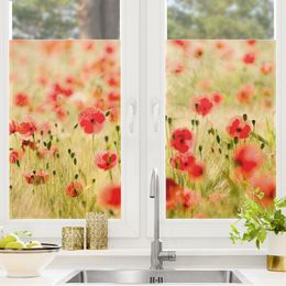 Fensterfolie Summer Poppies