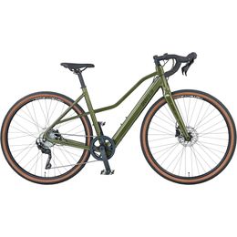 E-Bike Prophete "Graveler 1.0" E-Bikes Gr. 48 cm, 28 Zoll (71,12 cm), grün E-Bikes