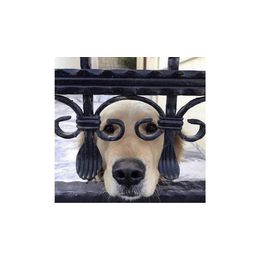 Rötting Design Malen nach Zahlen BASTELIDEEN 5d Diamond Painting Set Motiv Hund Bruno und seine Brille