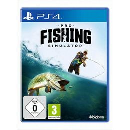Big Ben Interactive Pro Fishing Simulator PS4 Playstation 4