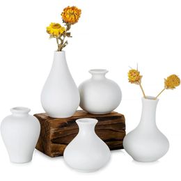 HIBNOPN Dekovase Kleine Weiß Keramik Vasen 5er-Set