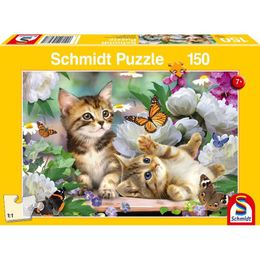 Schmidt Spiele Verspielte Katzenbabys