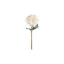 Chic Antique Fleur Kunstblume Hortensie mit Blatt, L80 cm, creme