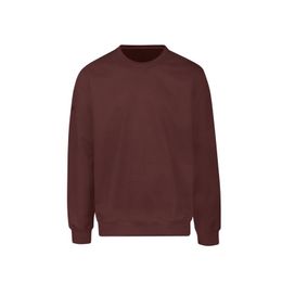 TRIGEMA Sweatshirt »Sweatshirt aus Biobaumwolle« kastanie L L BIO Sweat-Qualität