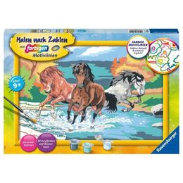 RAVENSBURGER VERLAG Ravensburger Malen nach Zahlen 28492 - Stolze Wildpferde - Kinder ab 9 Jahren