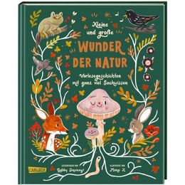 Kleine und große Wunder der Natur - Gabby Dawnay, Gebunden