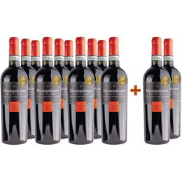 La Cantina dei Feudi 2023 10+2 Paket Montepulciano D'Abruzzo DOC