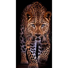 Rötting Design Malen nach Zahlen BASTELIDEEN 5d Diamond Painting Set Motiv geheimnisvoller Leopard