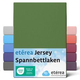 Etérea - Comfort Jersey Spannbettlaken Kaktus 180x200 cm - 200x200 cm - Kaktus